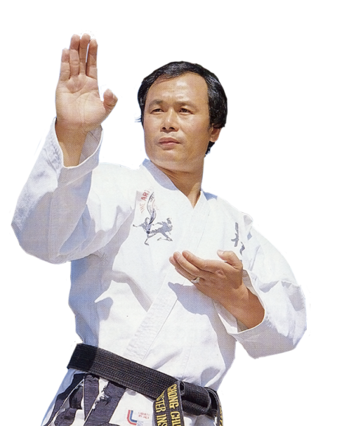 About Rhee | Rhee Tae Kwon-Do Brisbane
