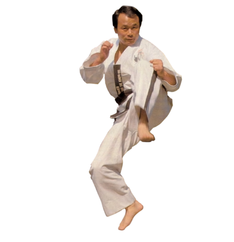 Rhee Tae Kwon-Do Brisbane | Rhee Tae Kwon-Do Brisbane
